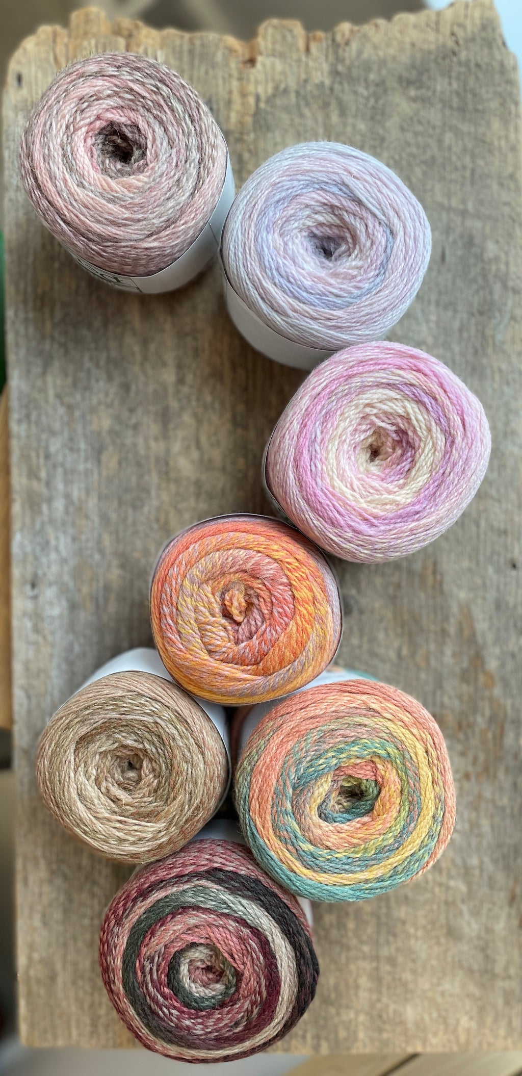The Cashmere Goat